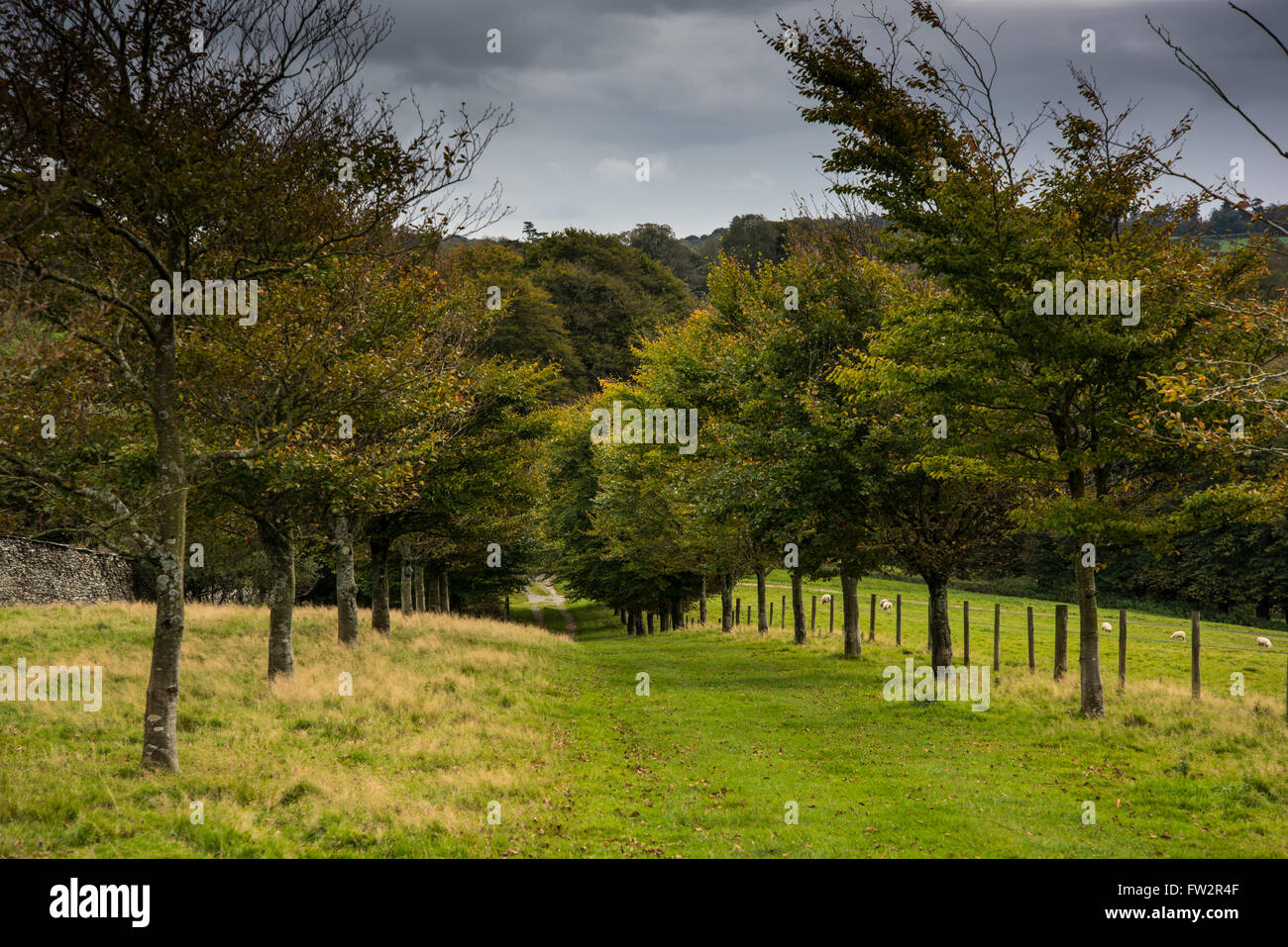Beautiful rugged path and gate hi-res stock photography and images - Alamy