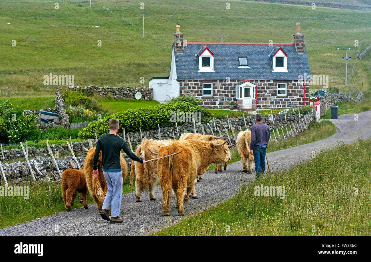 Croft farms hi-res stock photography and images - Alamy
