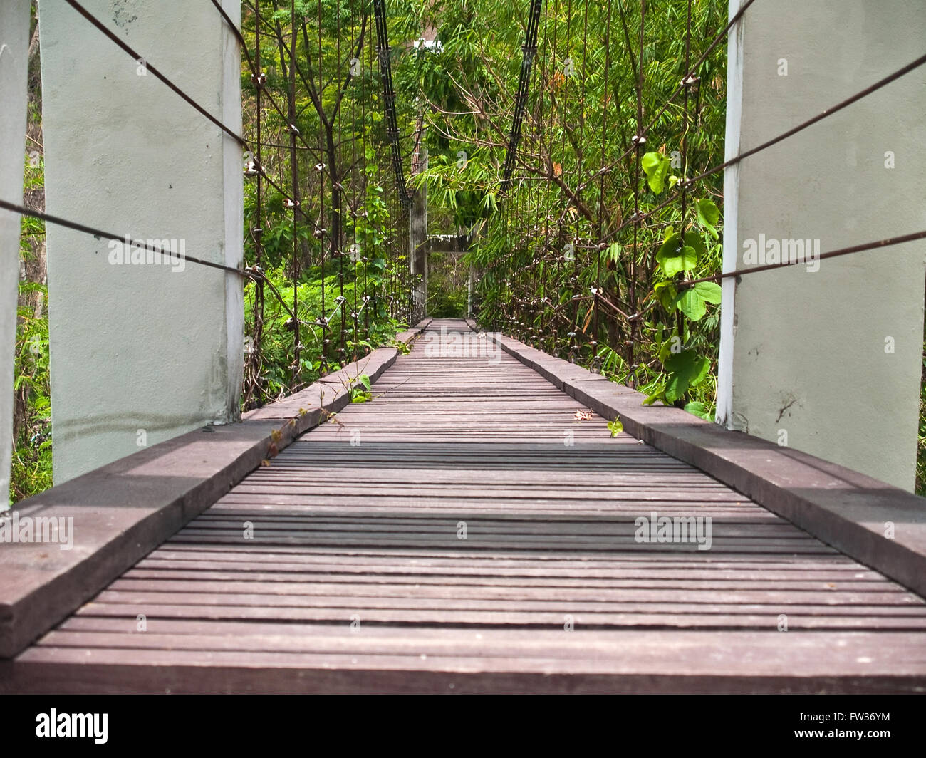 Wire rope suspension bridge hi-res stock photography and images - Alamy