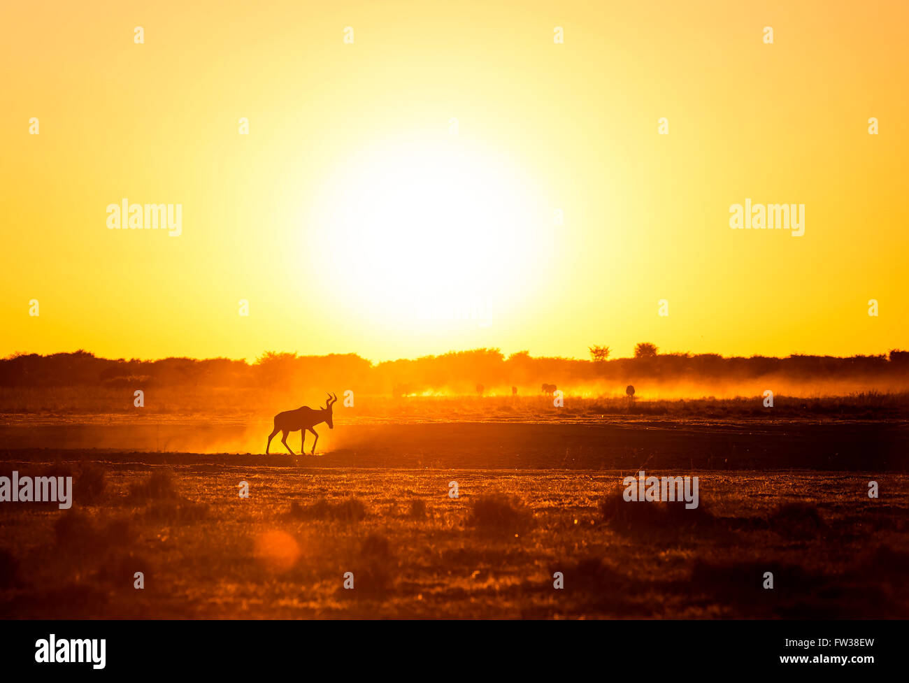 Botswana sunset hi-res stock photography and images - Alamy