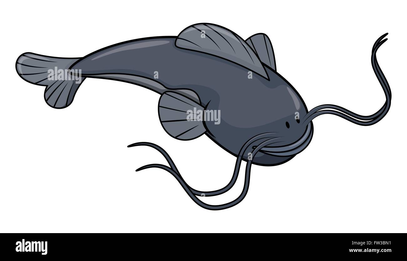 Catfish cartoon illustration Stock Vector Image & Art - Alamy