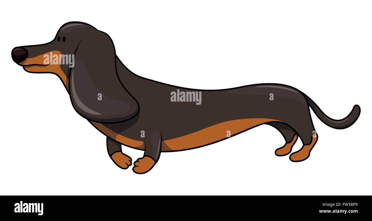 Dachshund cartoon illustration Stock Vector Image & Art - Alamy