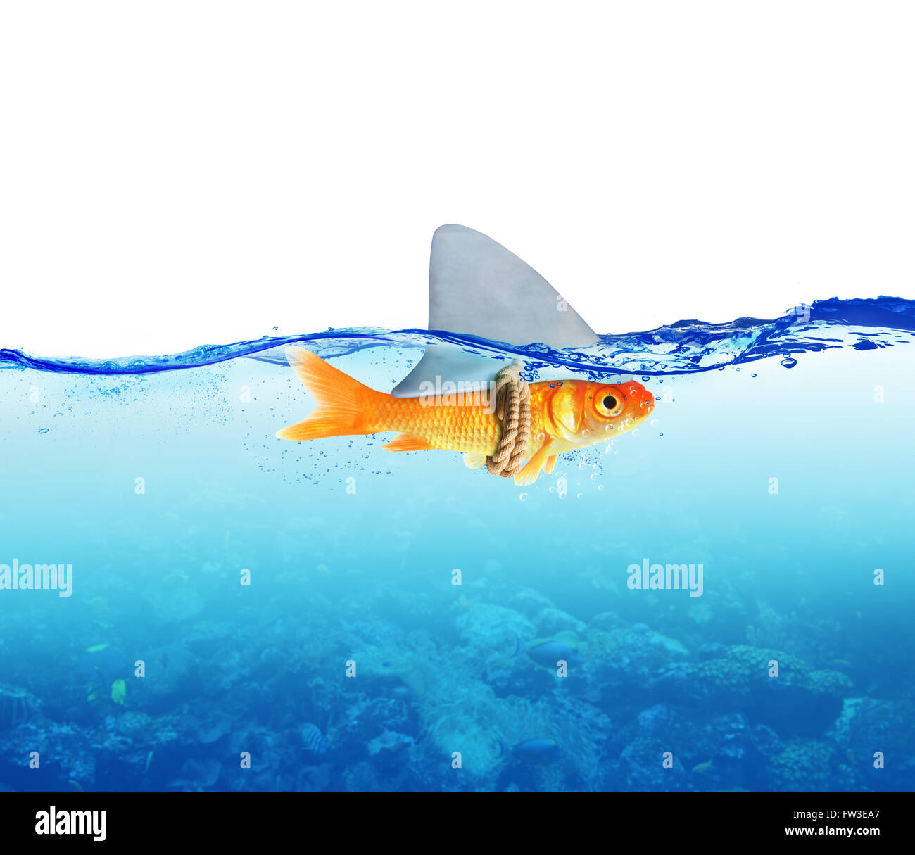 Power fish hi-res stock photography and images - Alamy