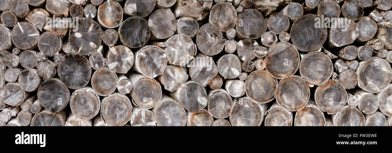 Panorama of a woodpile of old gray tree trunks Stock Photo - Alamy