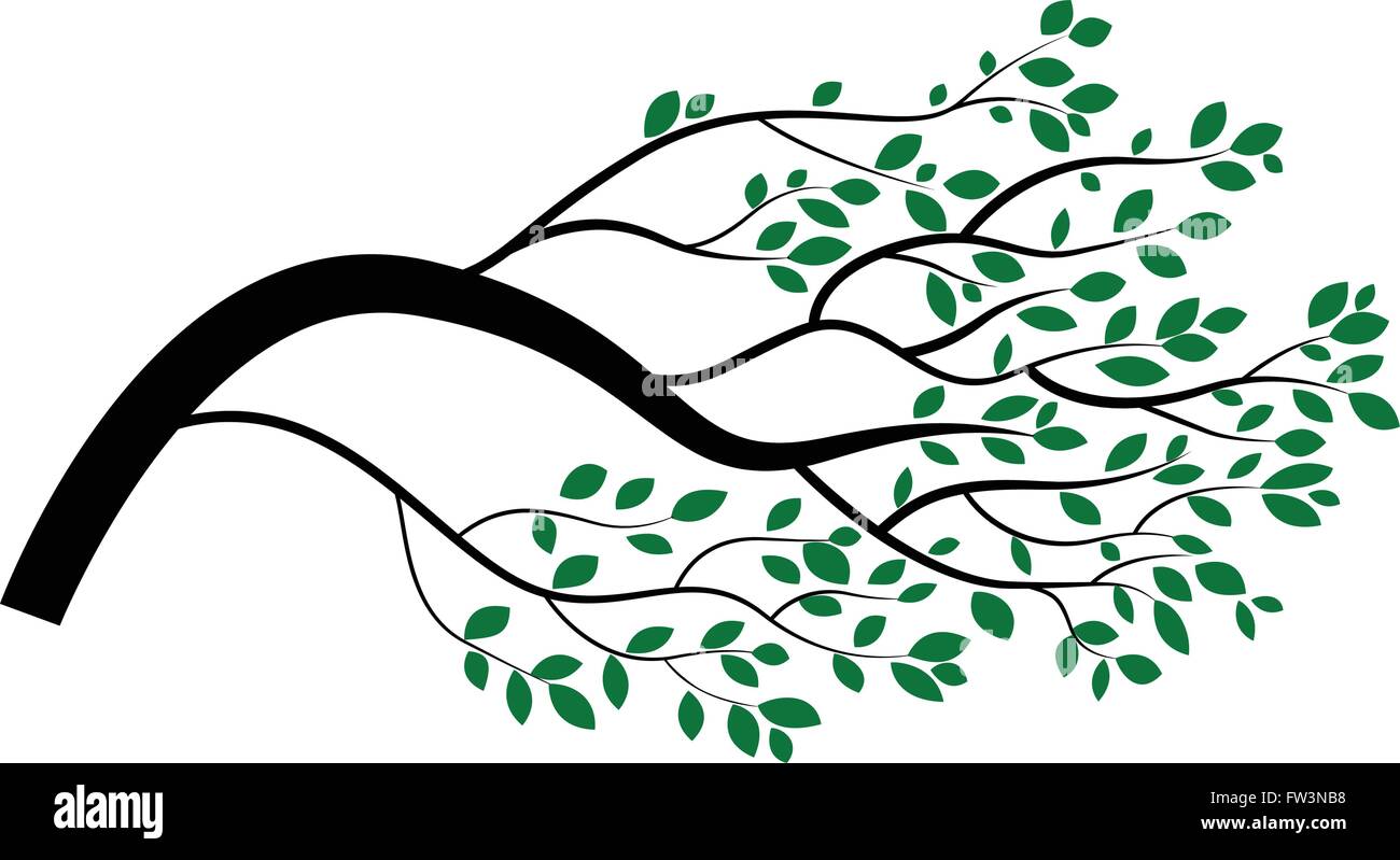 Illustration of tree branch Stock Vector Image & Art - Alamy