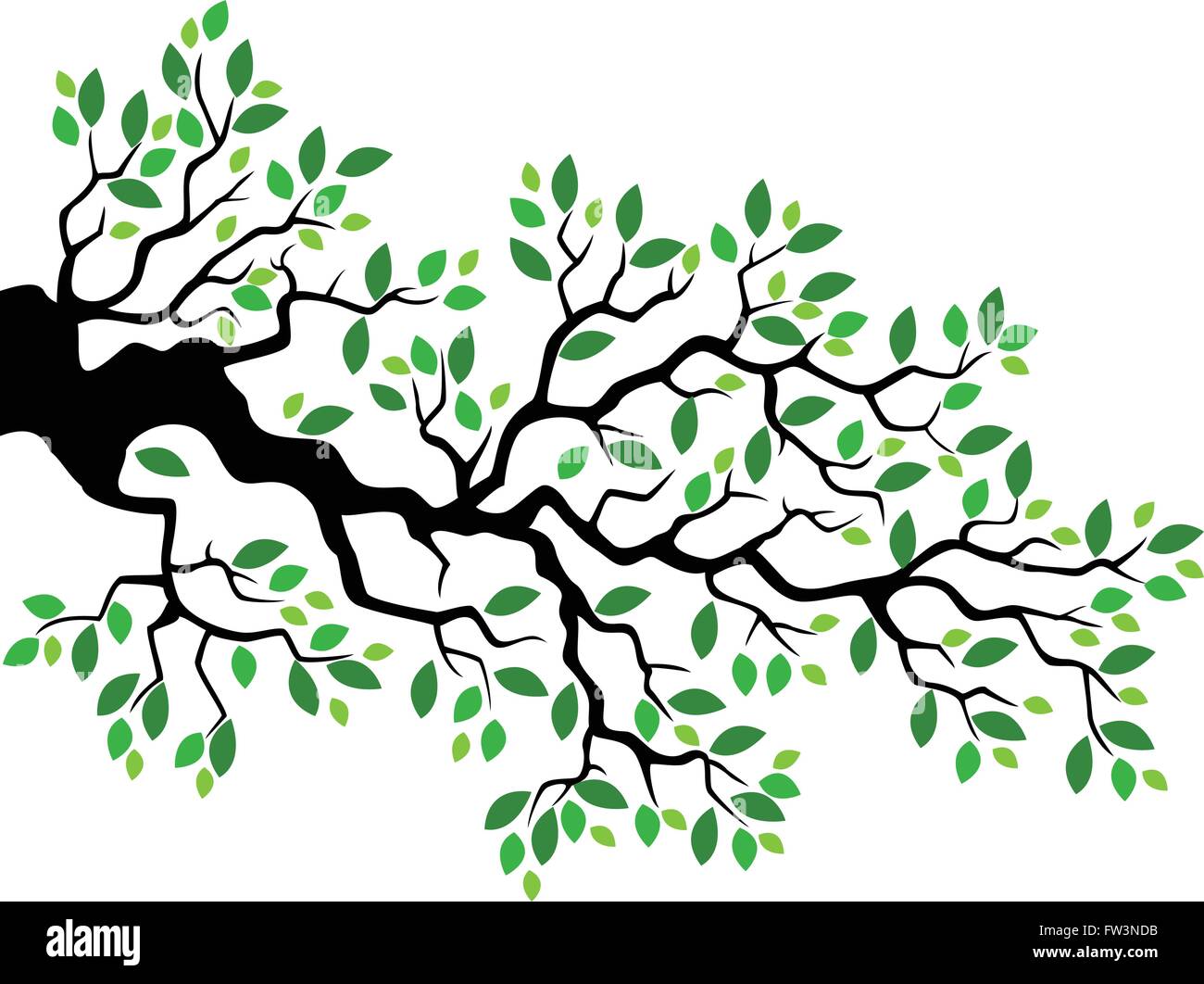 Green leaf tree branch illustration Stock Vector Image & Art - Alamy