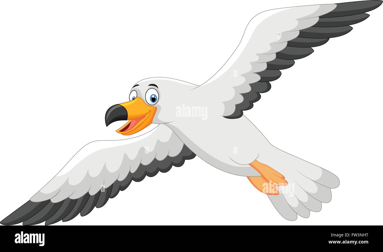 Cartoon smiling seagull Stock Vector Image & Art - Alamy