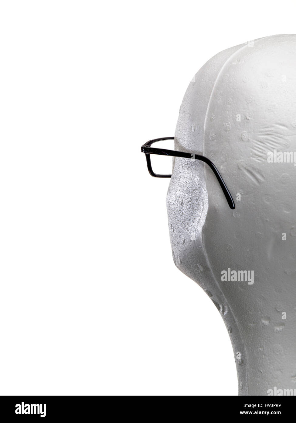 White dummy female head with eyeglasses on white background, back side ...