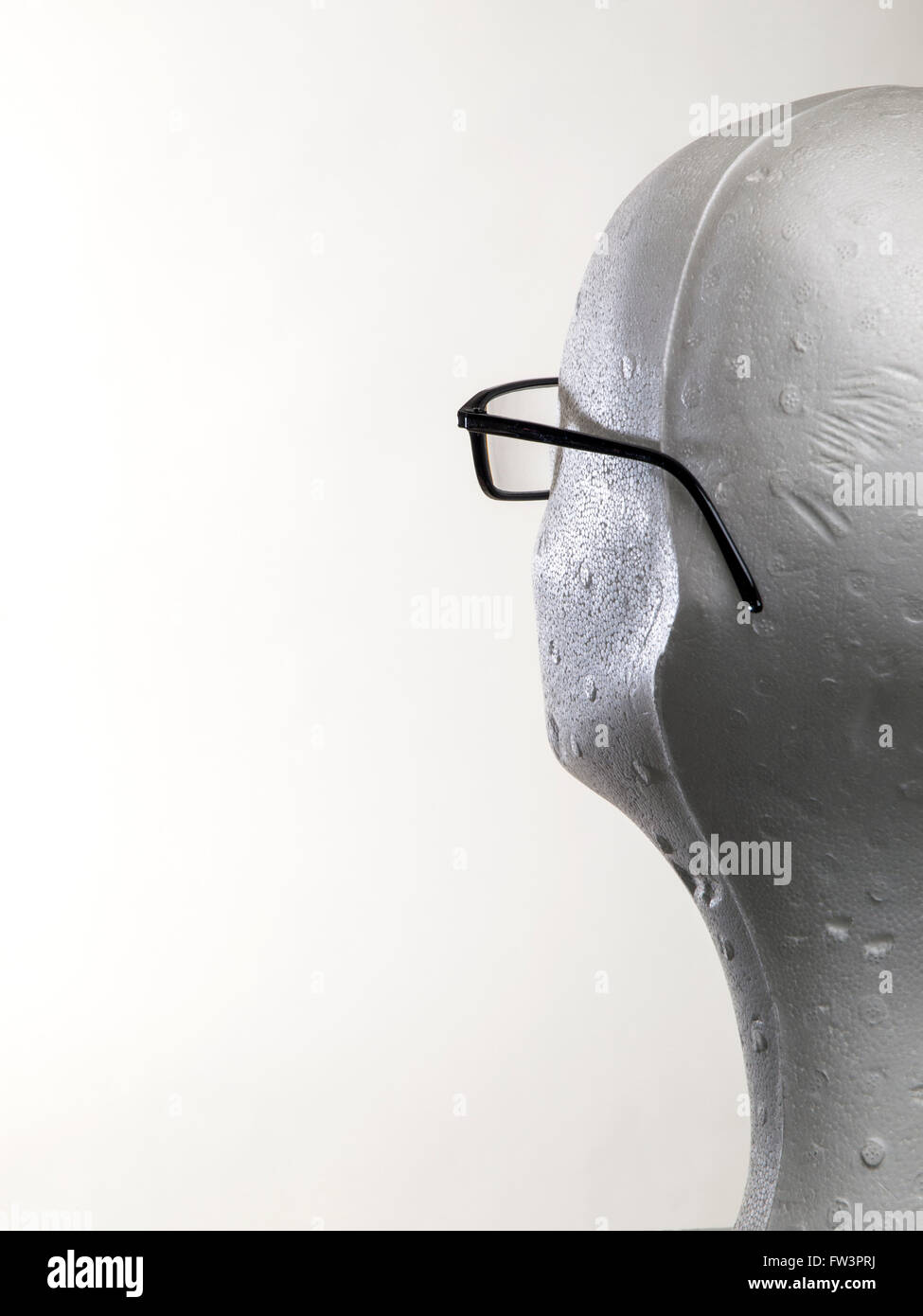 White dummy female head with eyeglasses on white background, back side ...