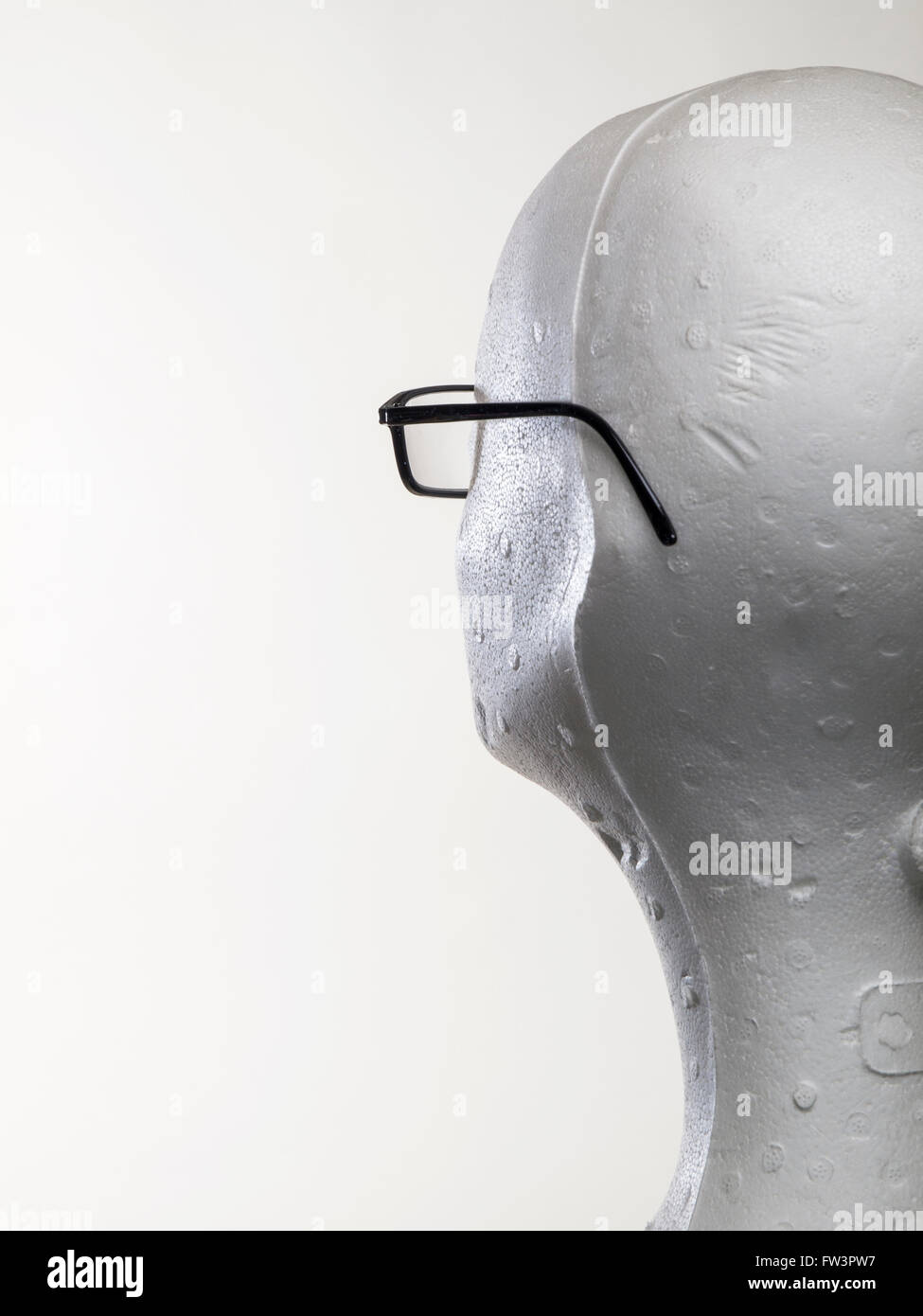 White dummy female head with eyeglasses on white background, back side ...