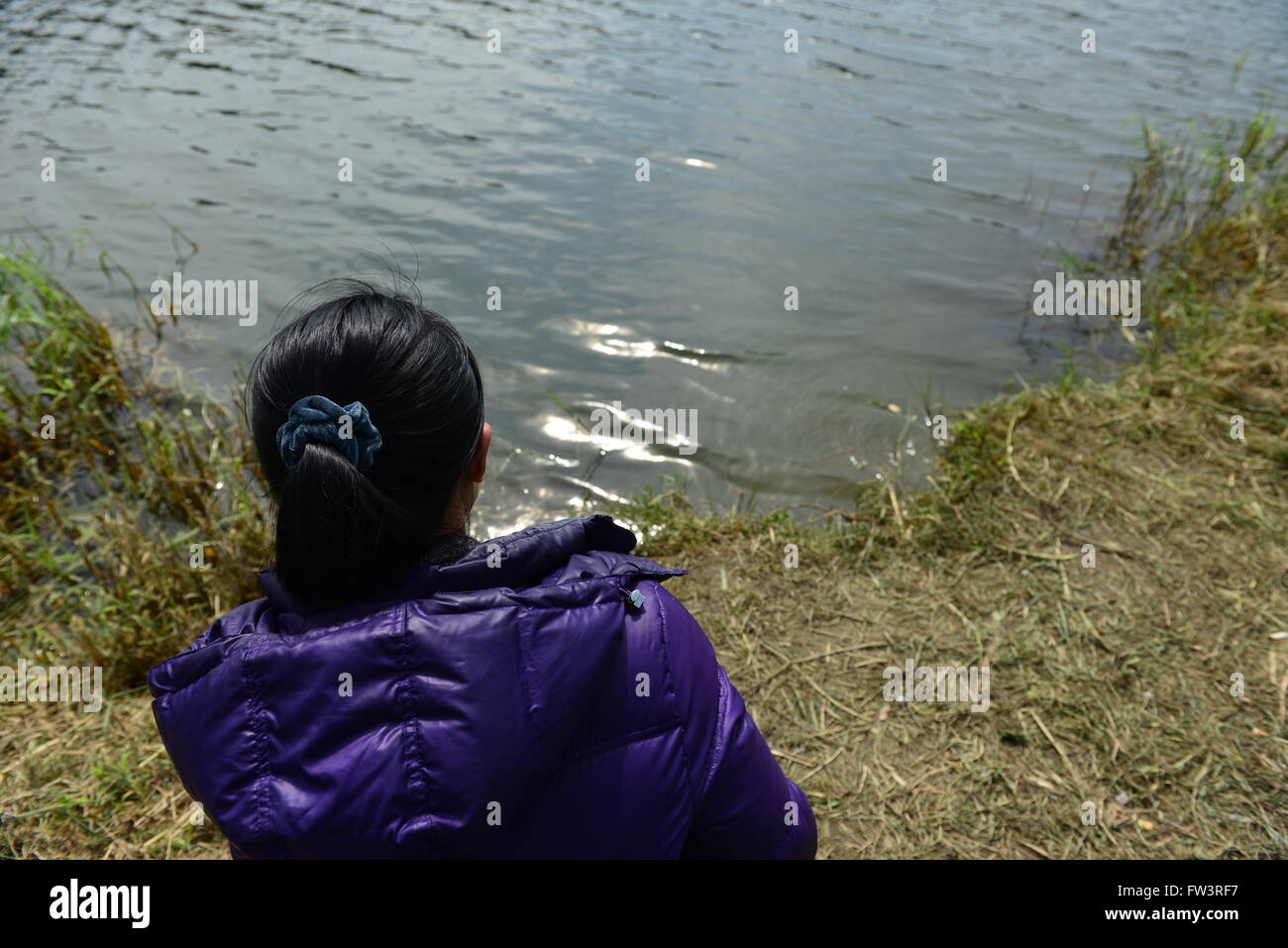 Load bear hi-res stock photography and images - Alamy