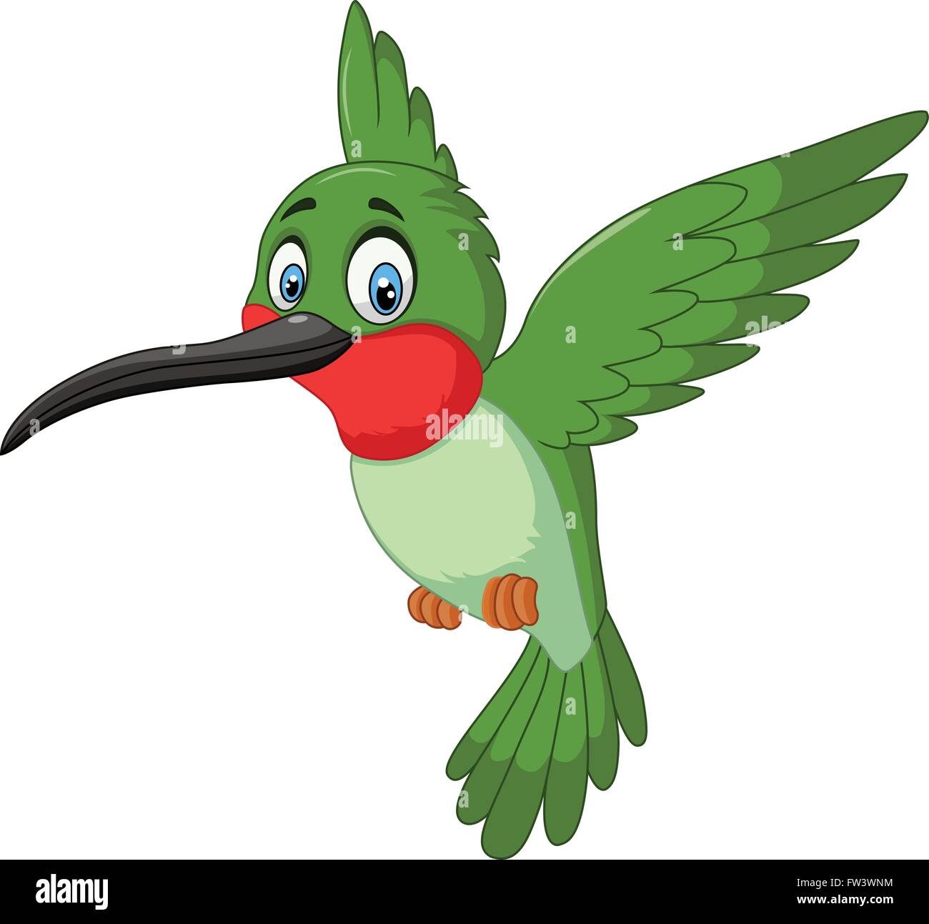 Cartoon funny hummingbird flying isolated on white background Stock ...