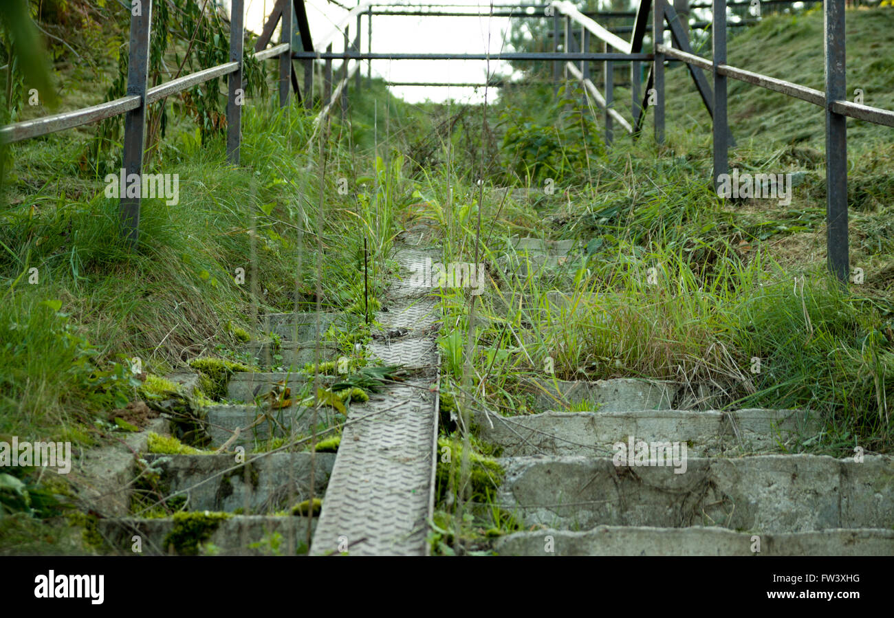 old unused stairs with different plants growing Stock Photo - Alamy