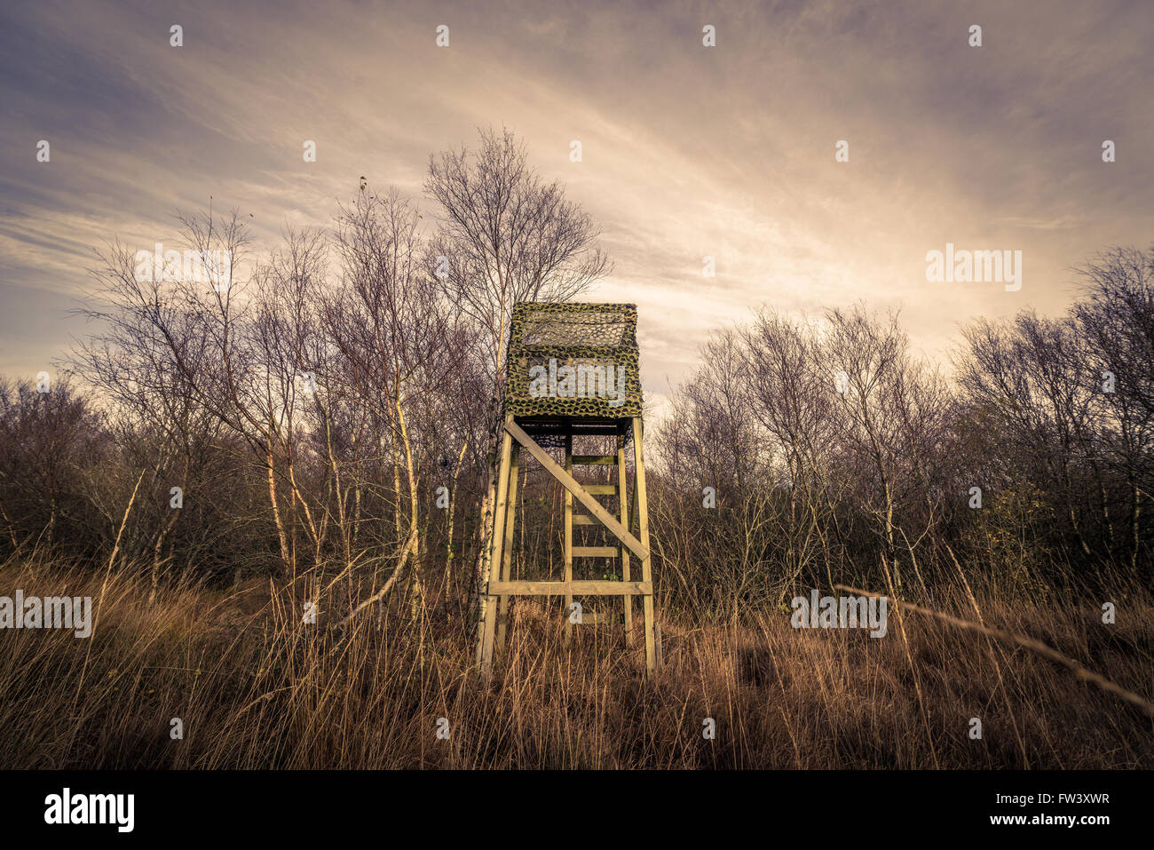 Hunting tower in the dusk in autumn Stock Photo - Alamy
