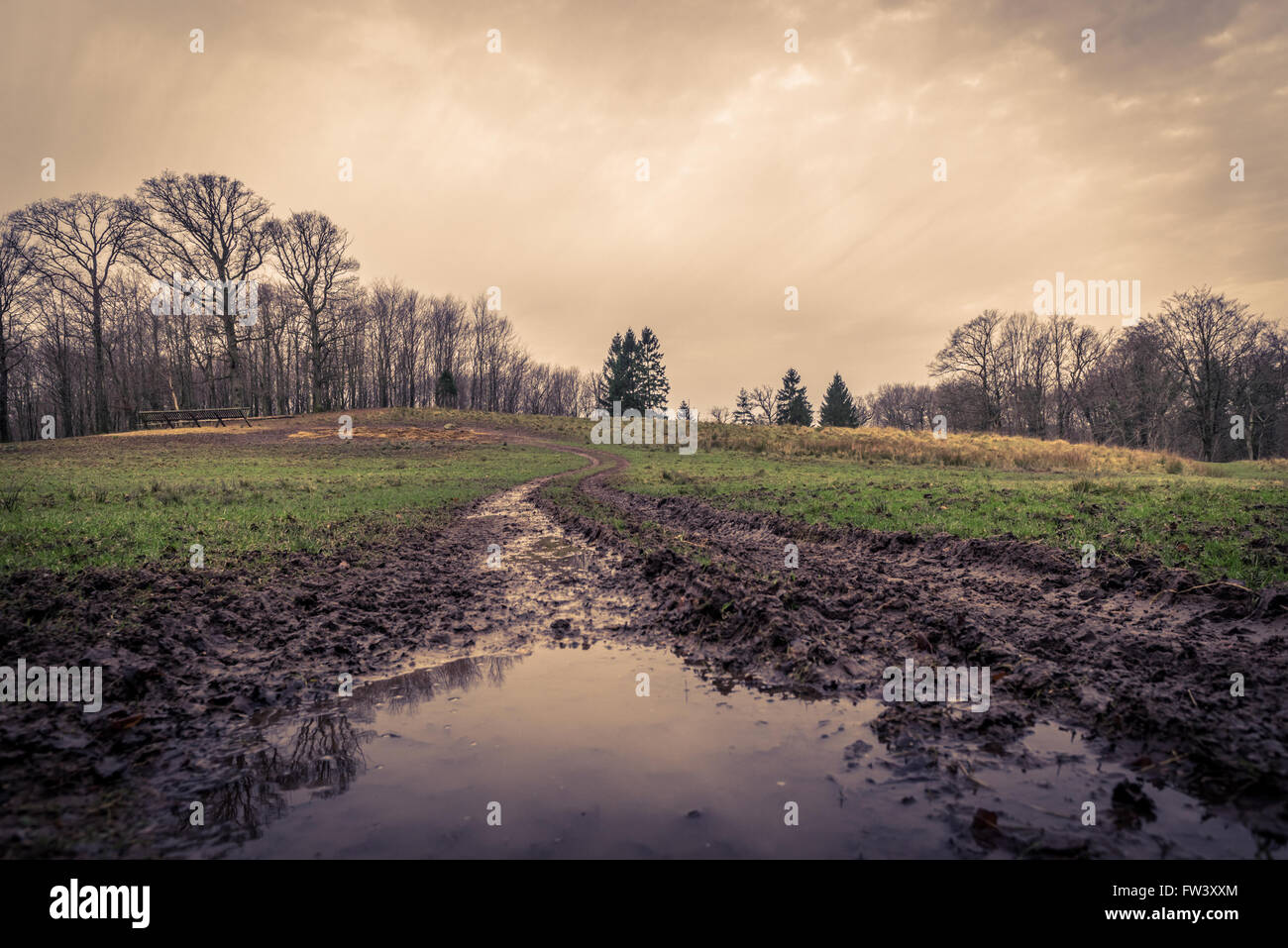 Muddy puddle rut blue hi-res stock photography and images - Alamy