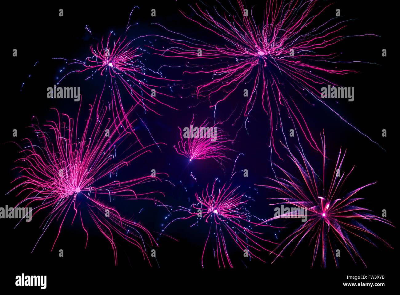 Violet fireworks on black background at new year Stock Photo - Alamy