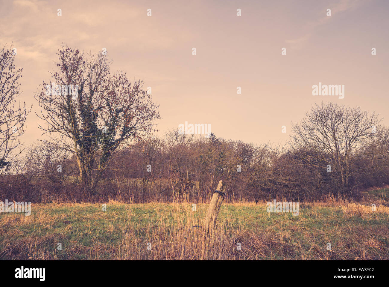 Elegant farm scene hi-res stock photography and images - Alamy