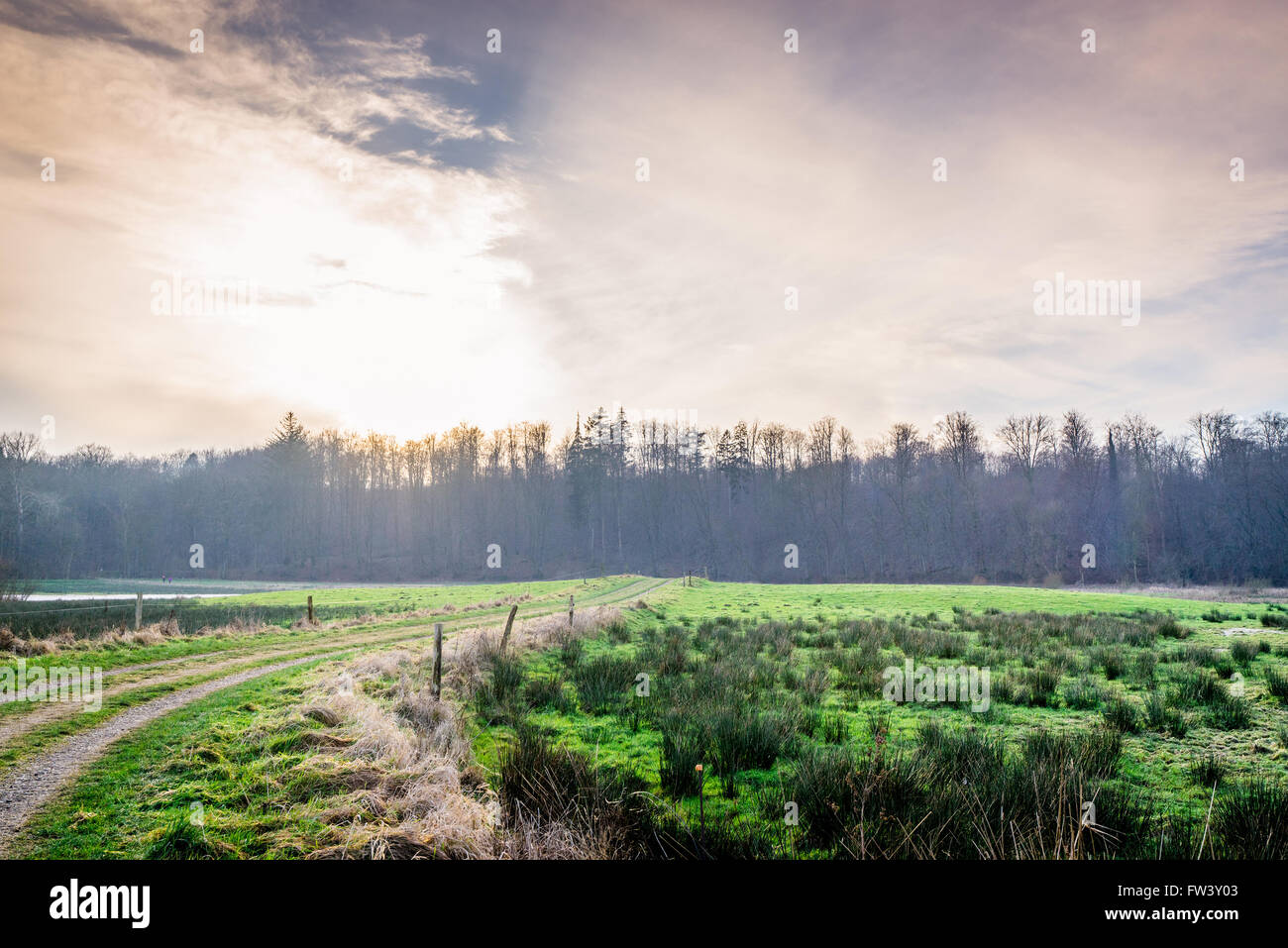 Countryside sunset with a nature trail in the fall Stock Photo - Alamy
