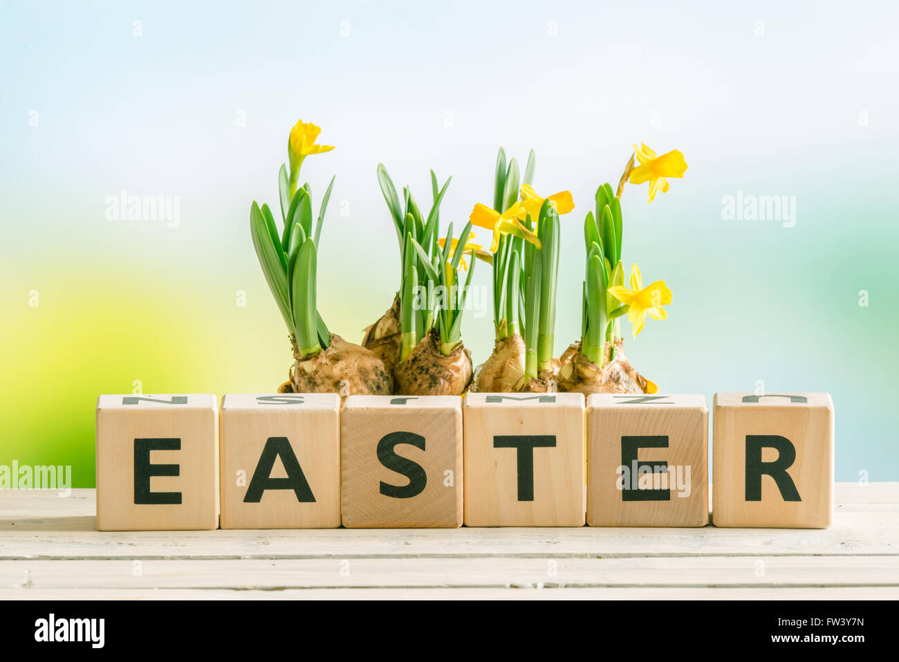 The word easter with yellow daffodil flowers on a table Stock Photo - Alamy