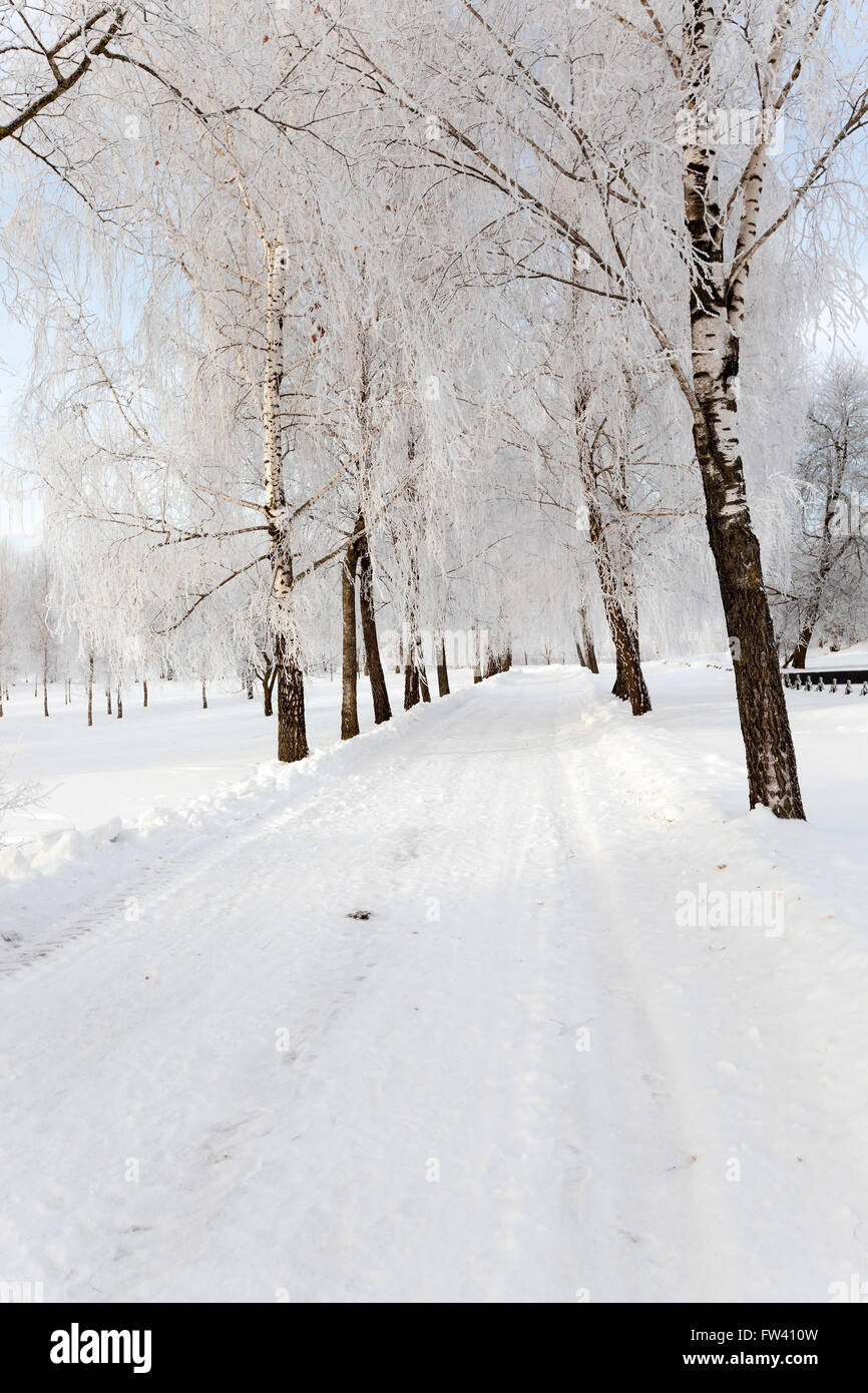 Frozen racetrack hi-res stock photography and images - Alamy
