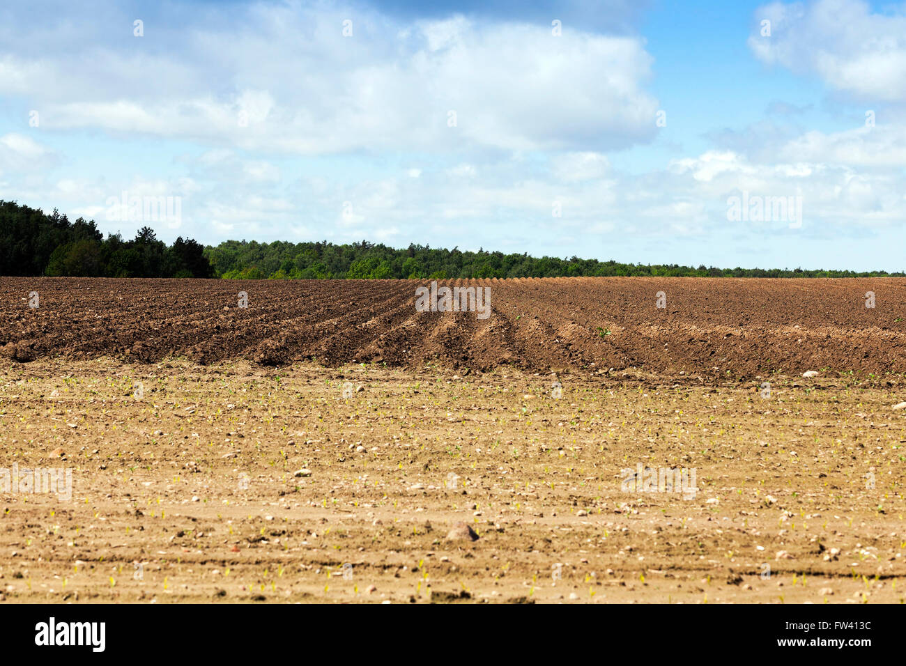 plowed land, furrows Stock Photo - Alamy