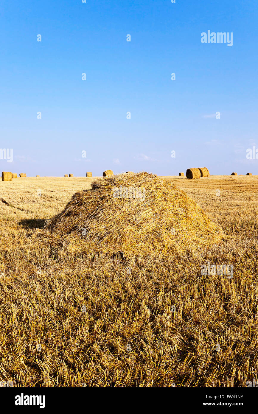 Stack of straw Stock Photo - Alamy