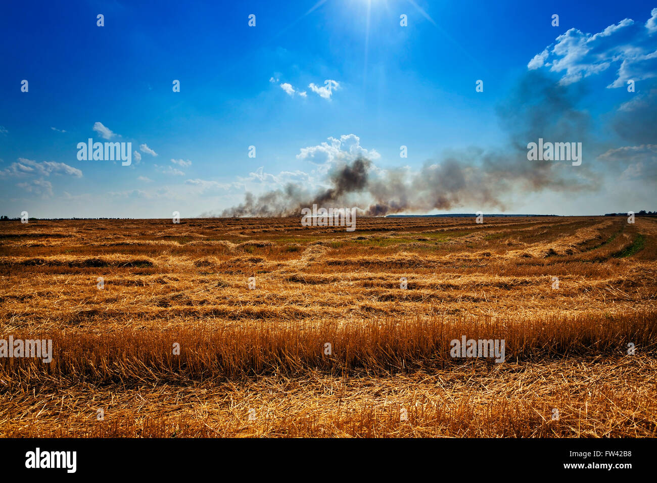 Fire in the field Stock Photo - Alamy