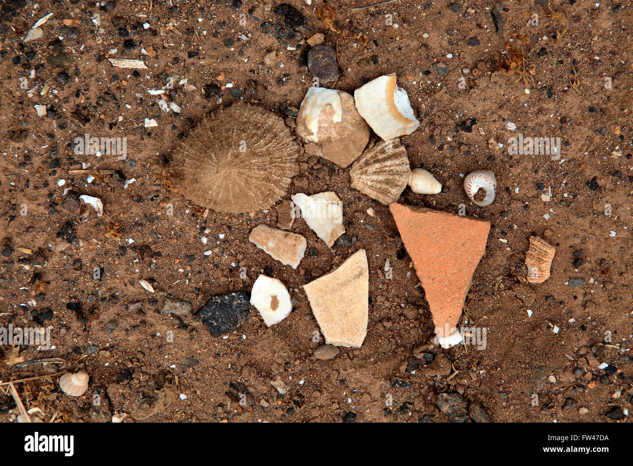 Pre Hispanic Pottery High Resolution Stock Photography and Images - Alamy
