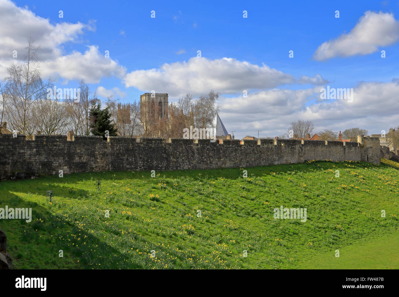 York City walls with York Minster behind, York, North Yorkshire ...