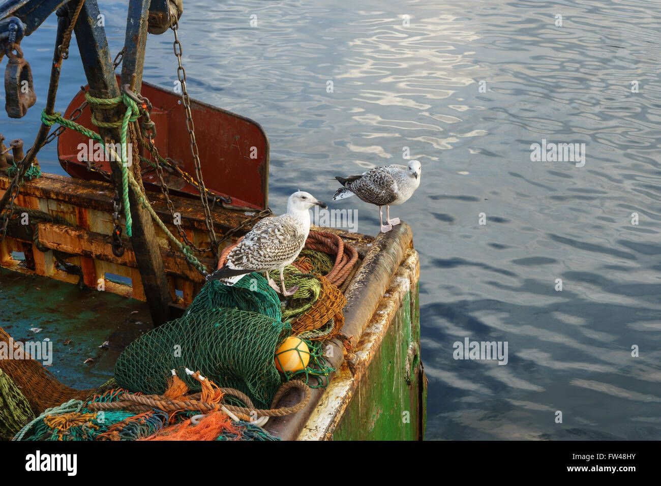 Port Seton harbour, Scotland Stock Photo - Alamy