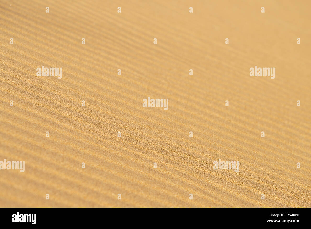 Wind blown ripples on a beach sand dune Stock Photo - Alamy