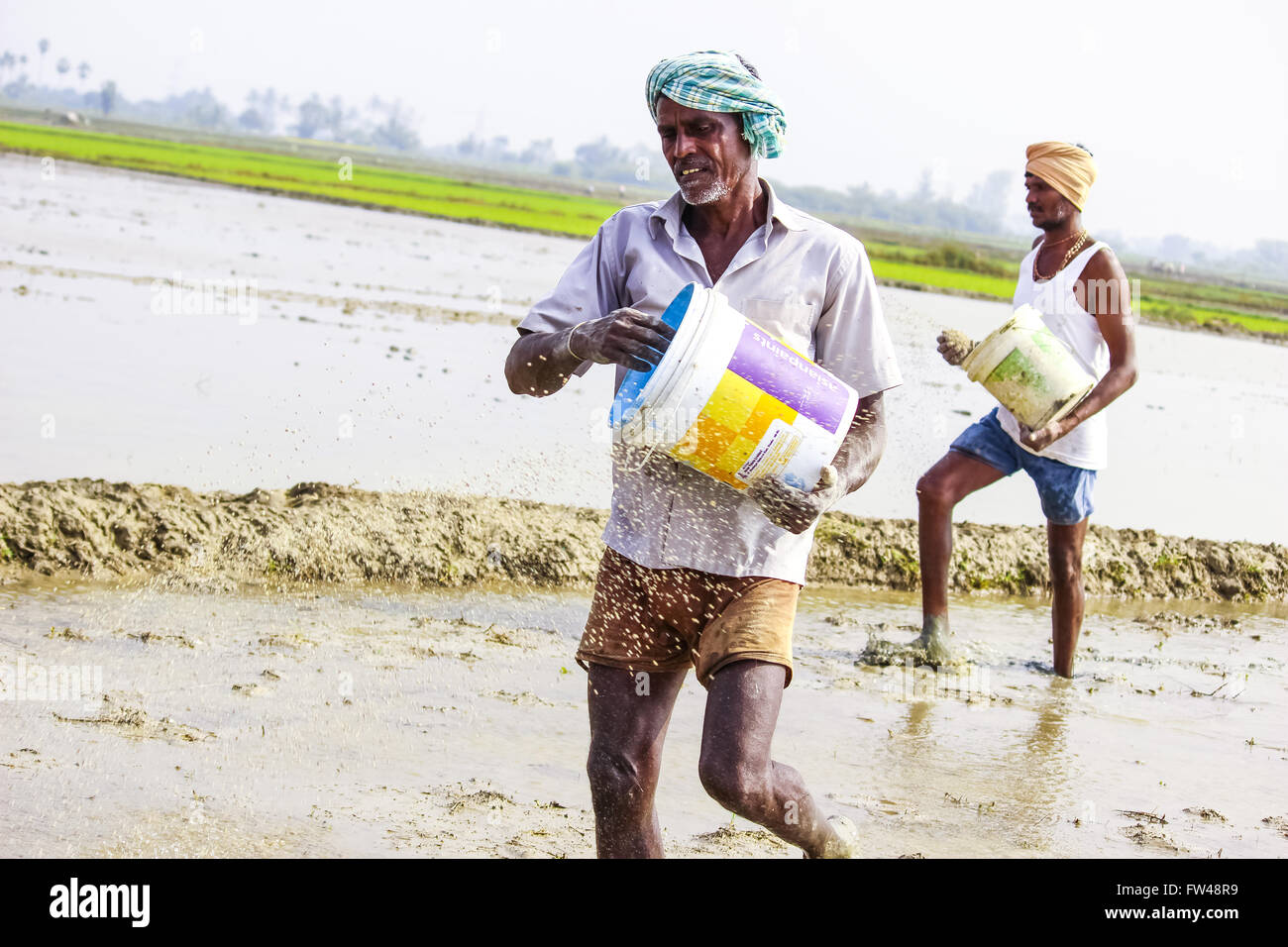 Sowing seeds hi-res stock photography and images - Alamy