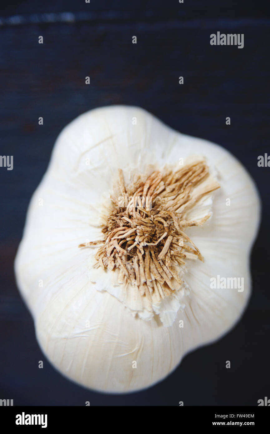 Blue garlic hi-res stock photography and images - Alamy