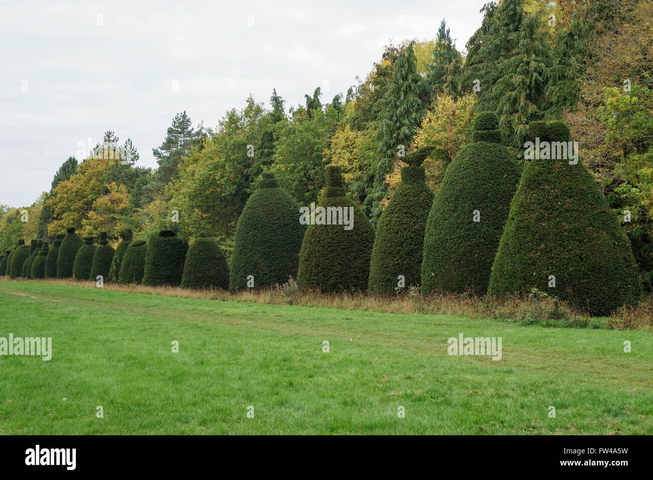 Yew Topiary High Resolution Stock Photography and Images - Alamy