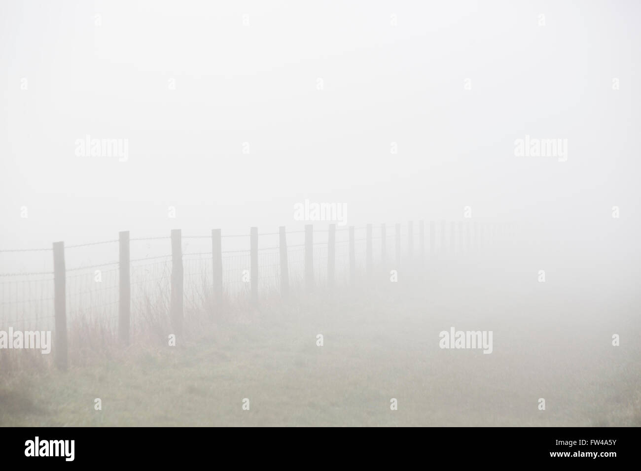 Mist or fog shrouds a farmer's field with a fence disapearing into the ...