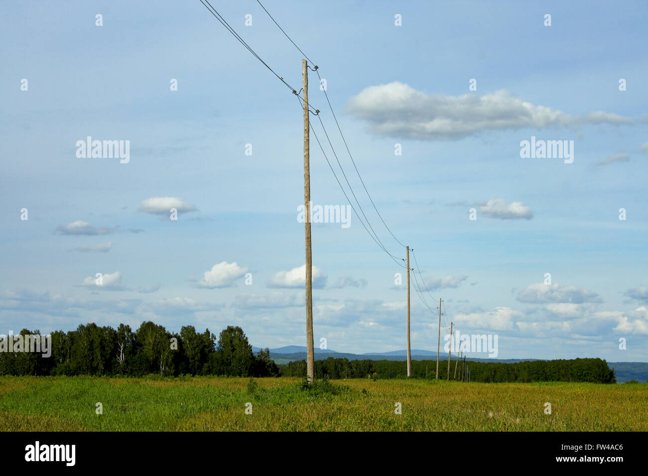 Power line on tall wooden poles. Krapivinsky district, Kemerovo oblast ...
