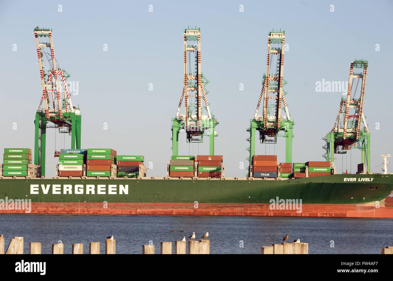 A view of the Evergreen Ever Conquest Container Ship in the Port of Los ...