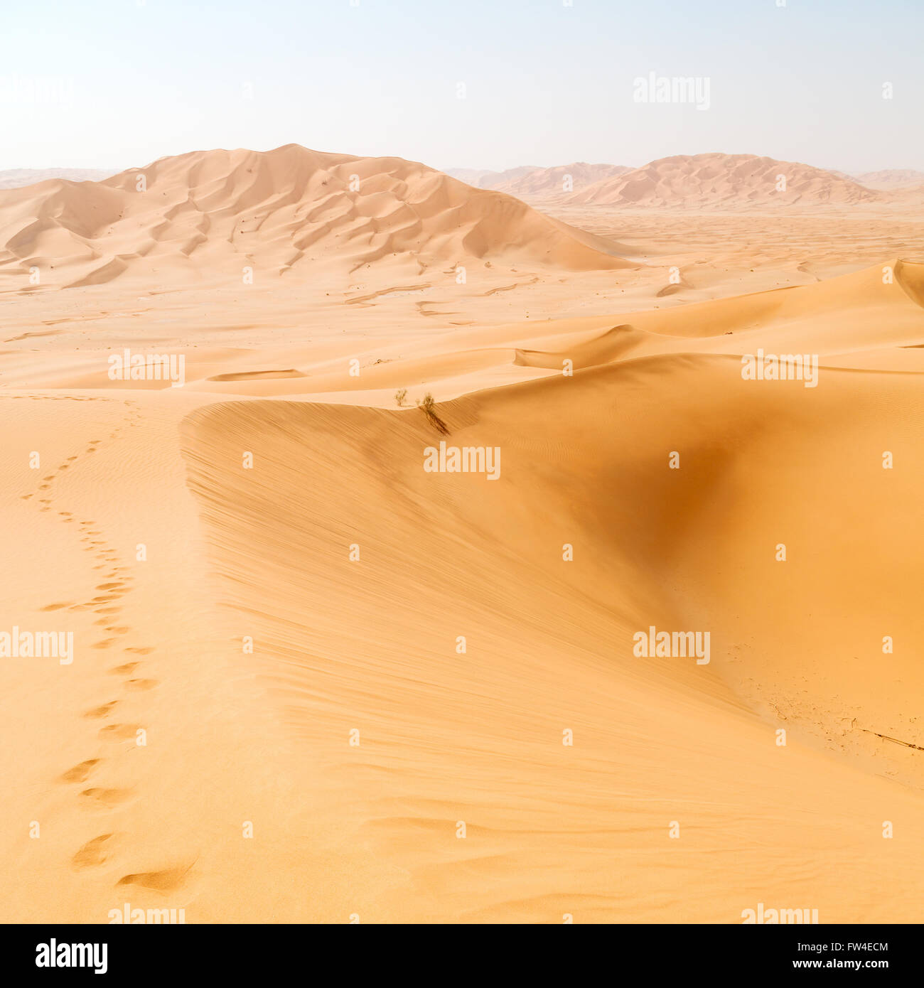 the empty quarter and outdoor sand dune in oman old desert rub al khali ...