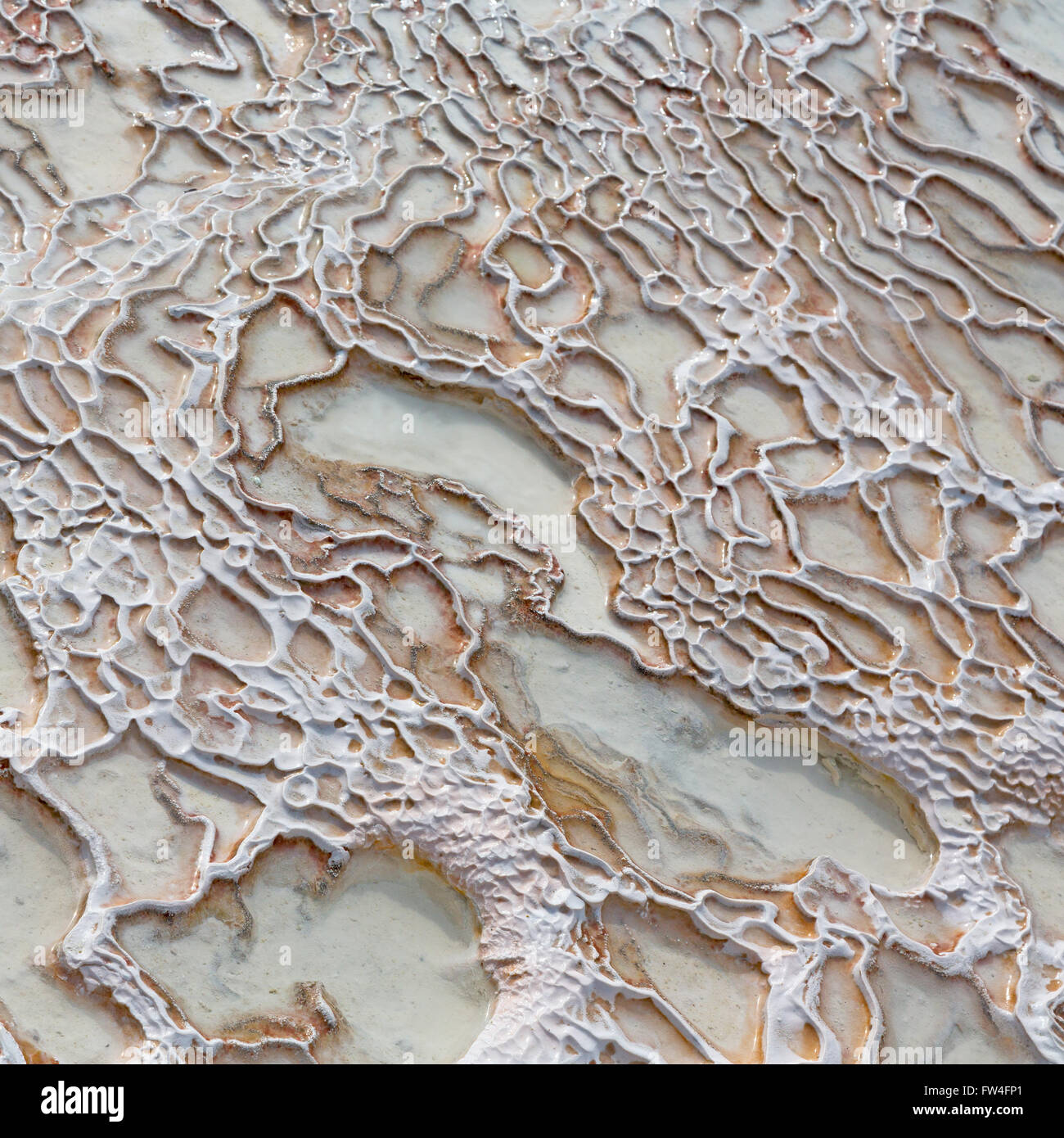 unique abstract in pamukkale turkey asia the old calcium bath and ...