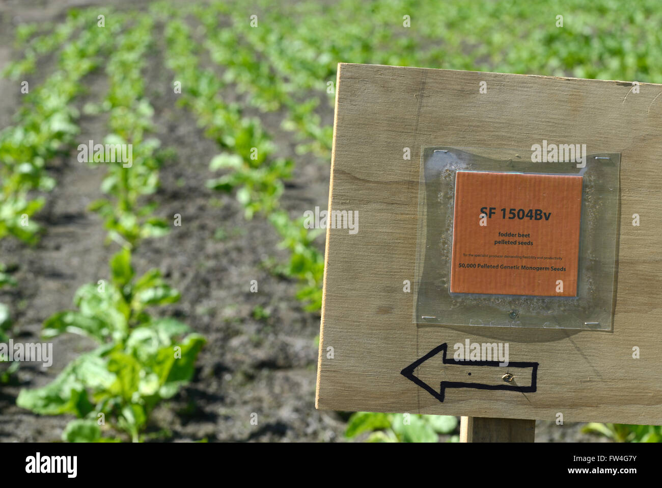 Crop marks hi-res stock photography and images - Alamy