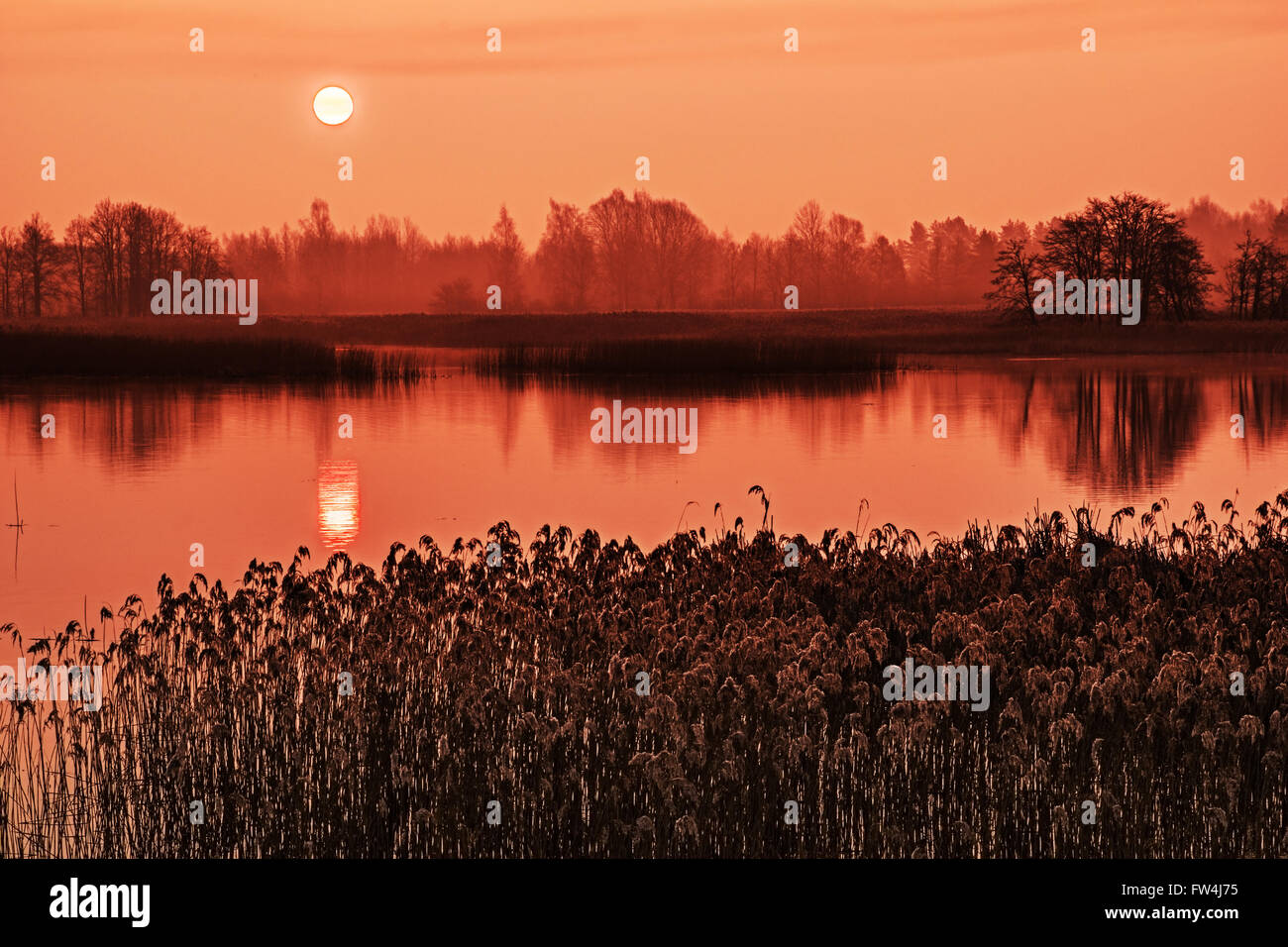 Red sunrise over the lake Stock Photo - Alamy