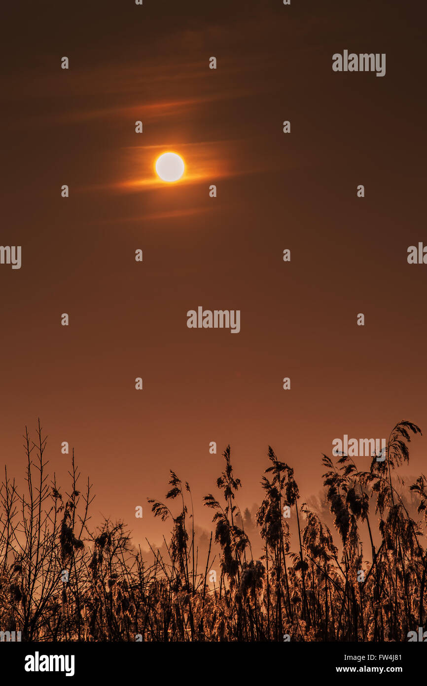 Sun is up Stock Photo - Alamy