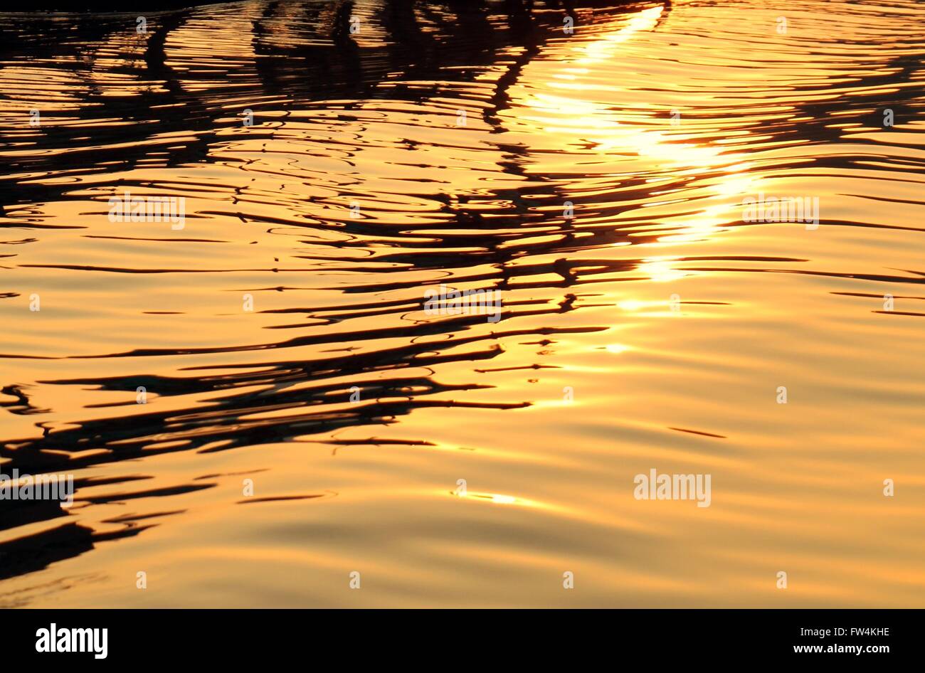 Ripple on the surface of the water during golden sunset Stock Photo - Alamy