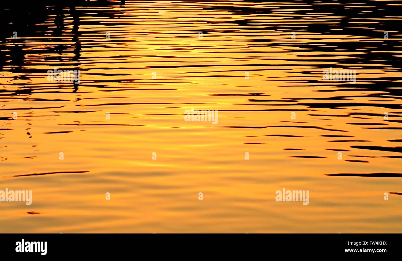 Ripple on the surface of the water during golden sunset Stock Photo - Alamy