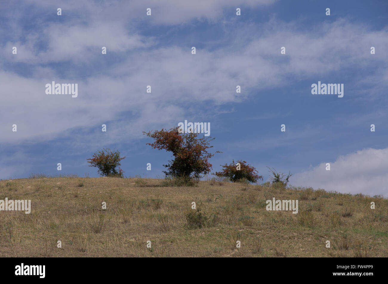 Red barren hi-res stock photography and images - Alamy