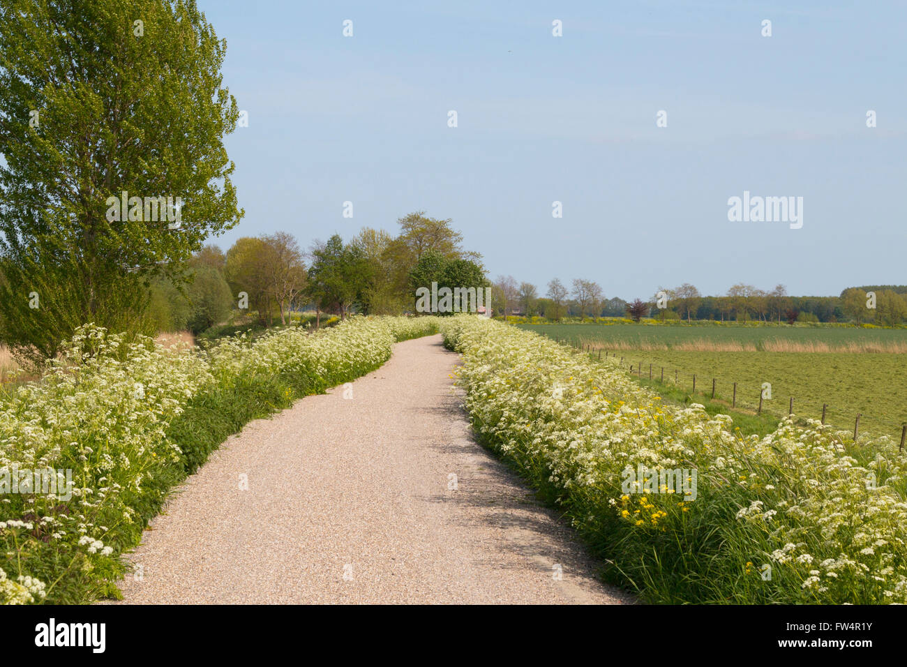 Landscape with bicycle path and grassland and blue sky Stock Photo - Alamy