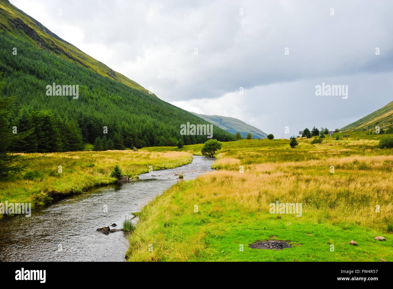 Creek scotland hi-res stock photography and images - Alamy