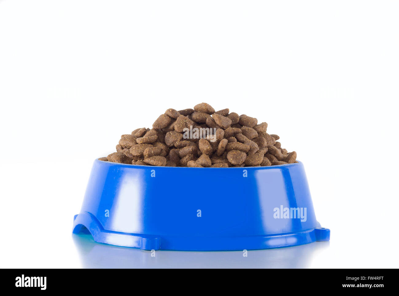 Dog food in dark blue bowl, isolated on white studio background Stock ...