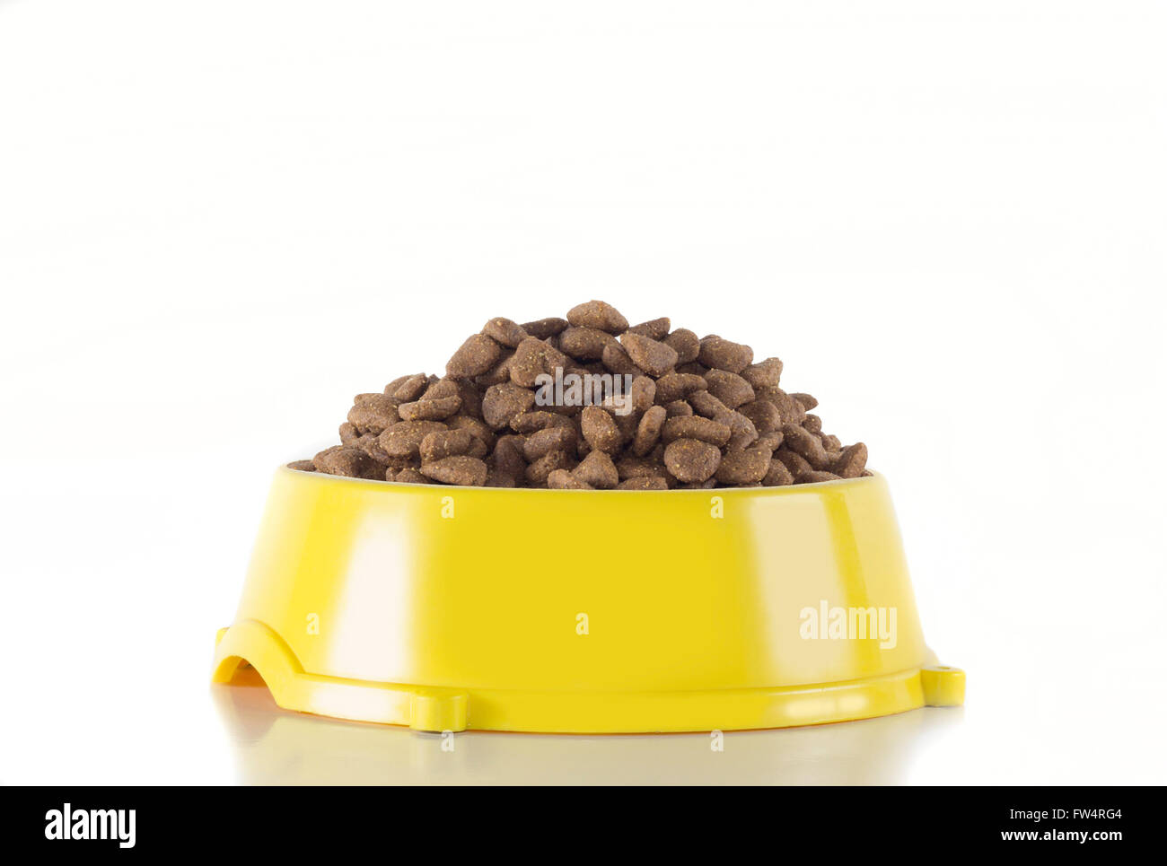 Dog food in yellow bowl, isolated on white studio background Stock ...