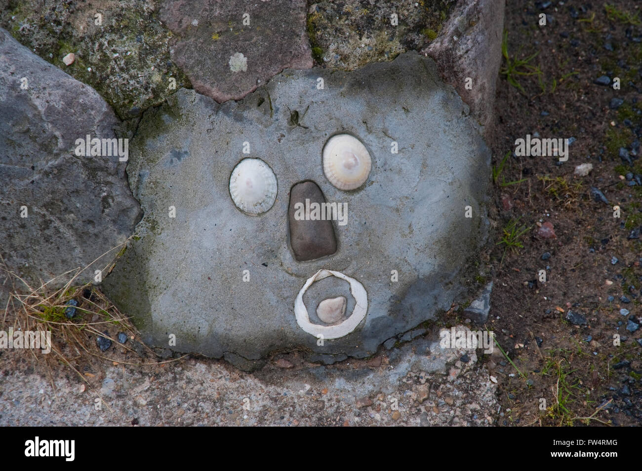 Rock with face made of shells Stock Photo - Alamy